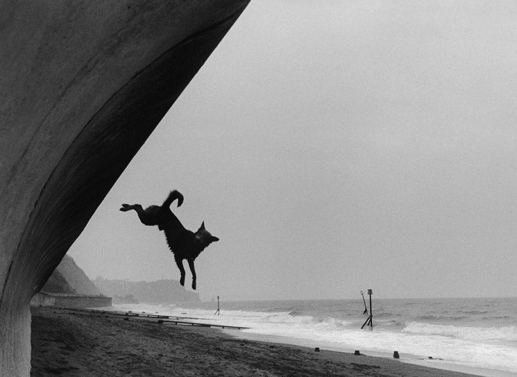 Roger A Deakins alla Deborah Bell Photographs – Damiani Books