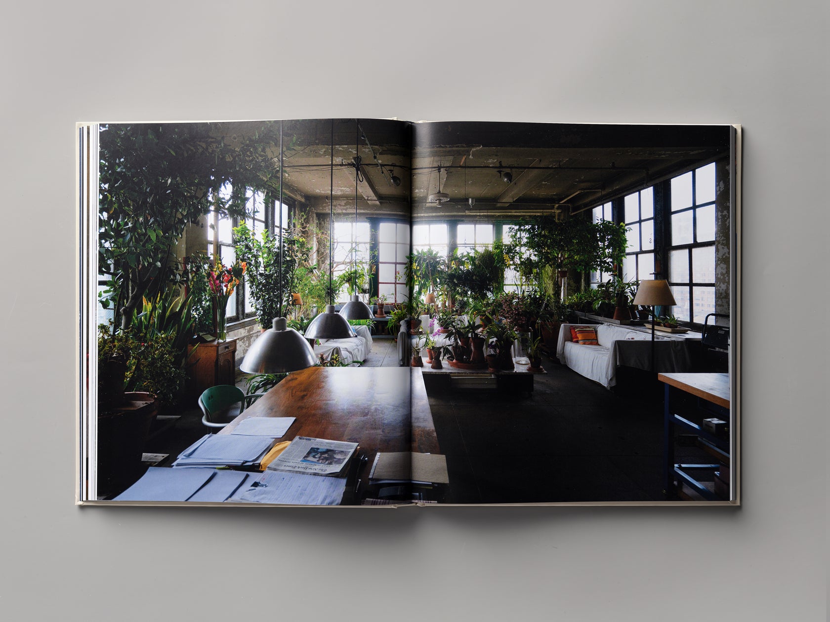 Loft Law. The Last of New York City's Original Artist Lofts – Damiani Books