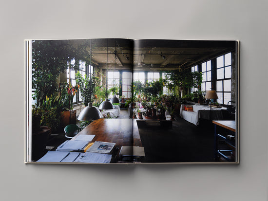 Loft Law. The Last of New York City's Original Artist Lofts – Damiani Books