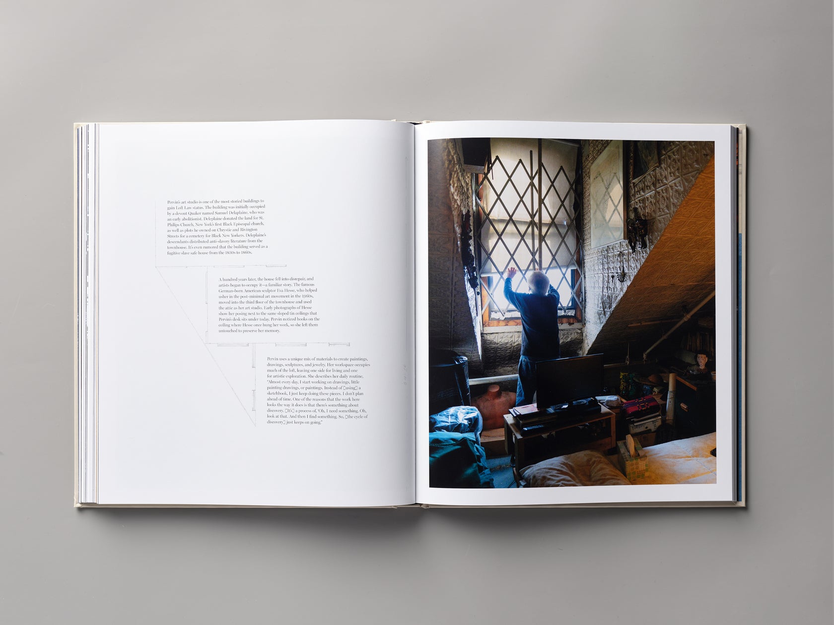 Loft Law. The Last of New York City's Original Artist Lofts – Damiani Books