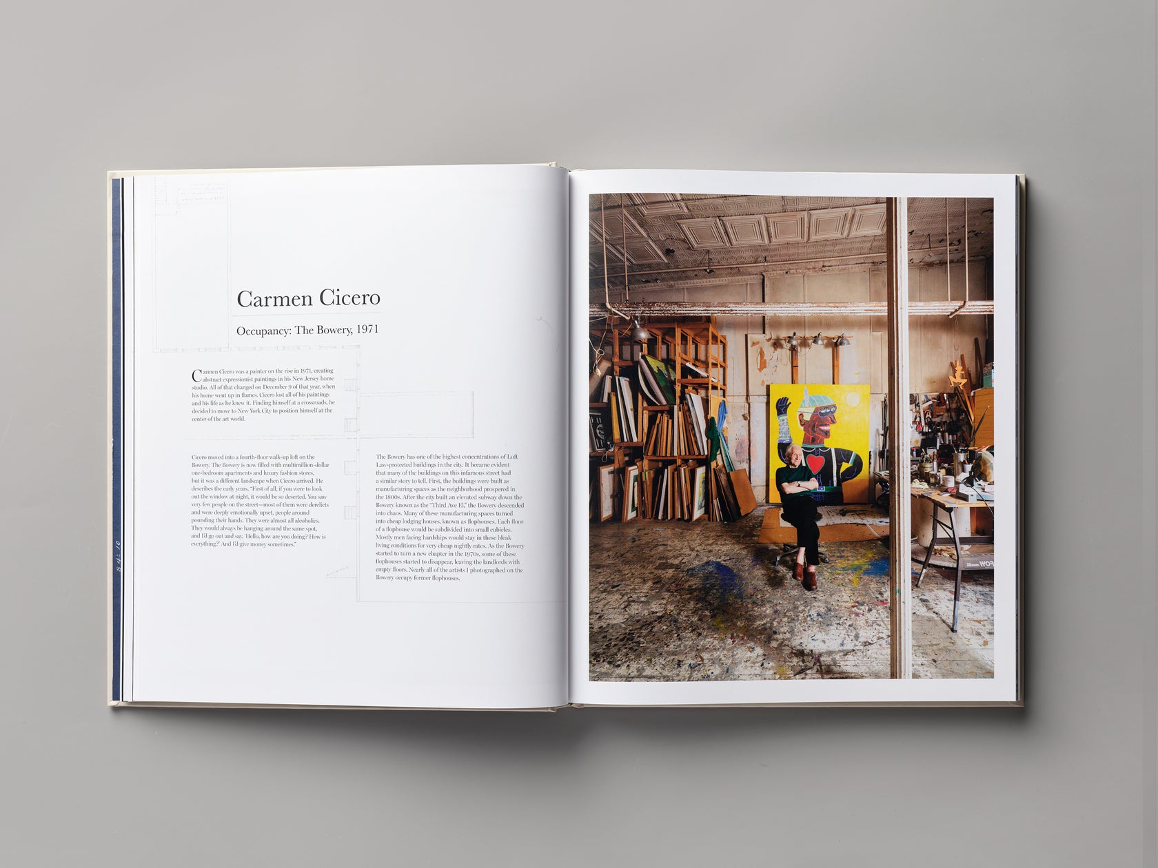 Loft Law. The Last of New York City's Original Artist Lofts – Damiani Books